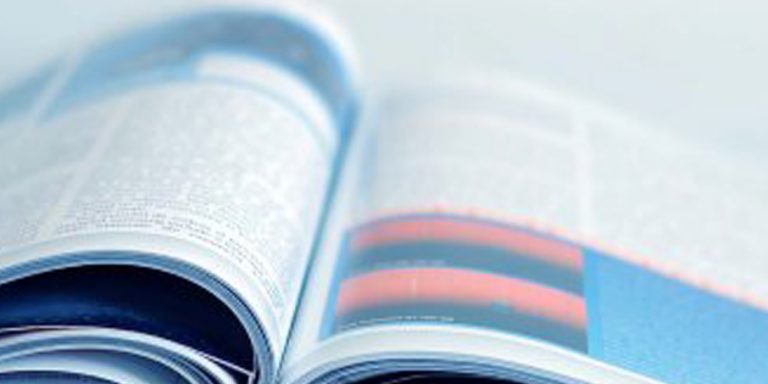 De opbouw van een verslag of rapport - Taaluilen